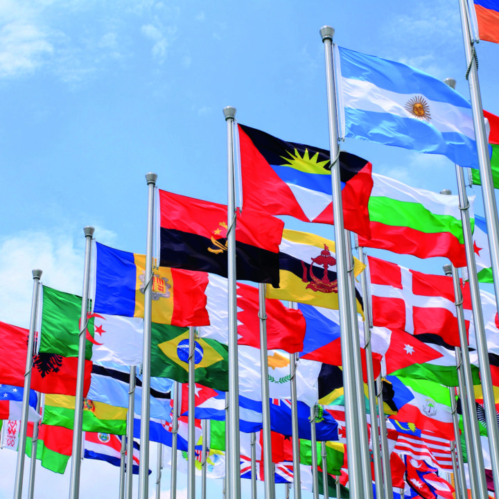 Custom Flag - Bespoke Personalised Flags - Handsewn or Printed