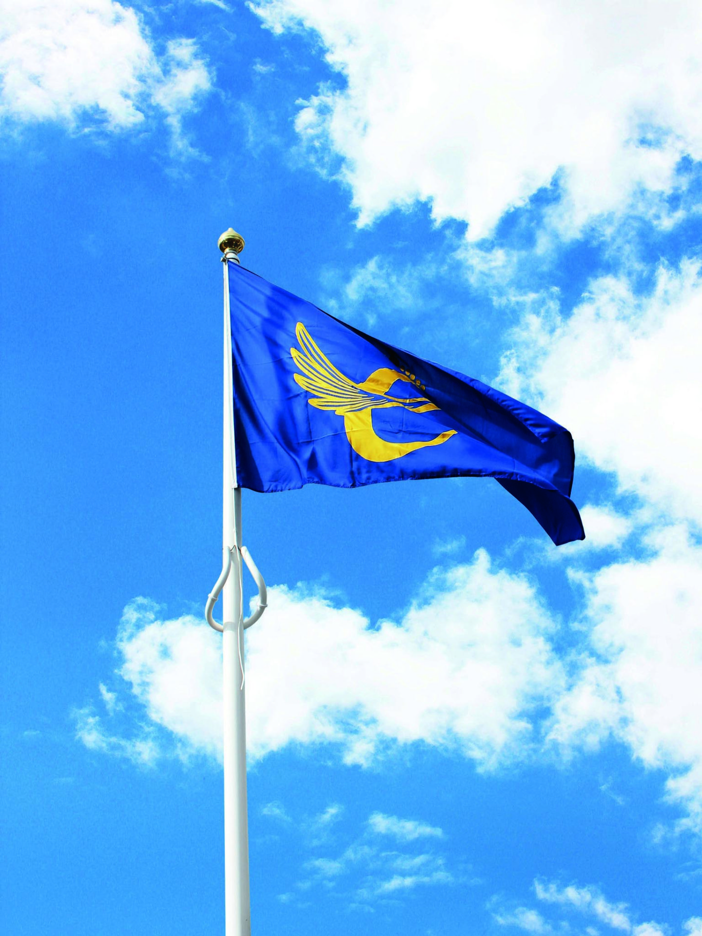 Custom Flag Bespoke Personalised Flags Handsewn Or Printed