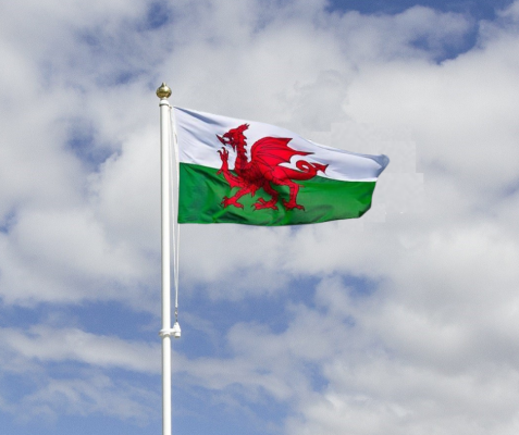 Buy Welsh Flag and Garden flagpole - online Harrison Flagpoles