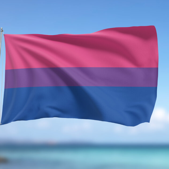 Pride flags Archives - Harrison Flagpoles